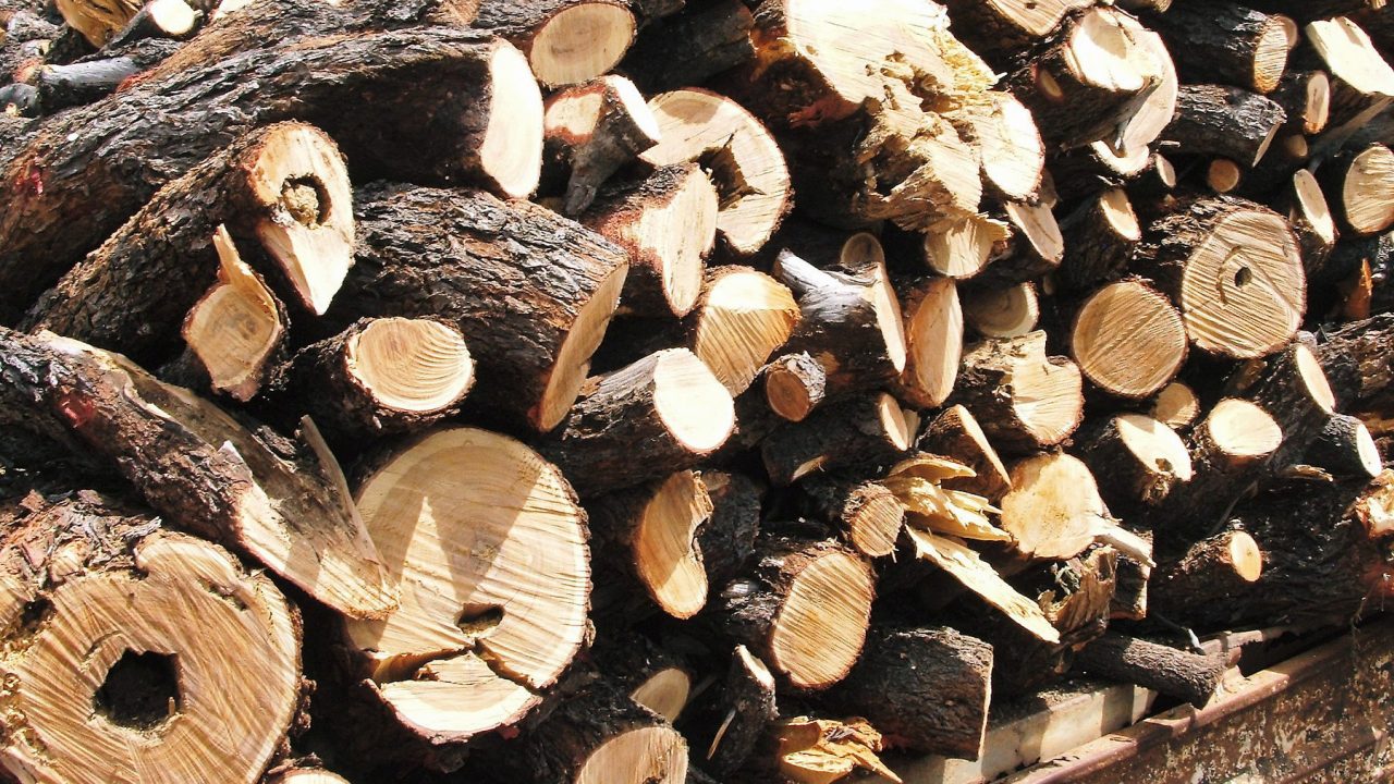 Honorer les ancêtres : comment le santal a participé à la ...